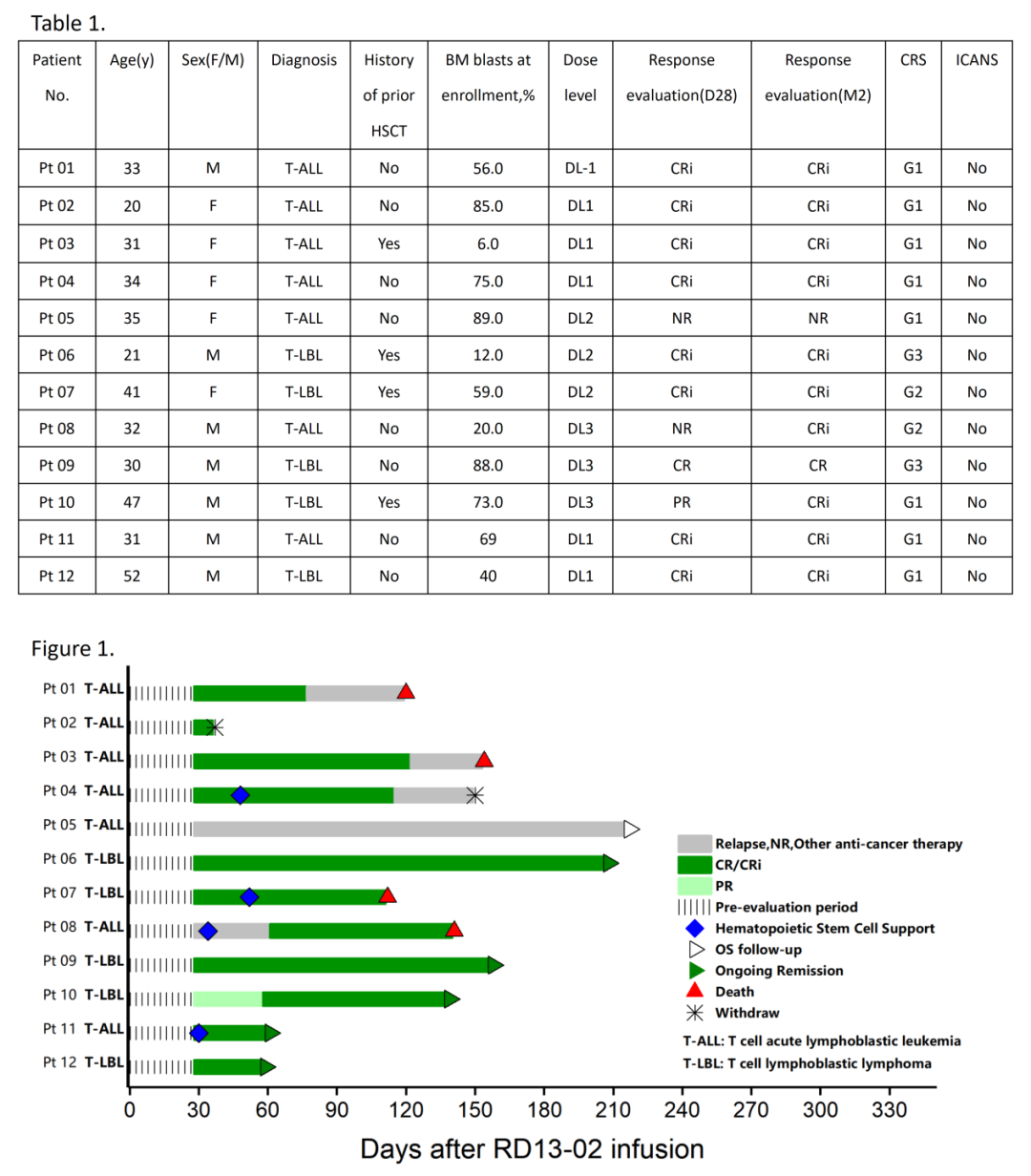 EHA2024|北恒生物公布UCAR-T RD13-02治疗R/R T-ALL/LBL患者的最新临床数据，最佳缓解率高达92%医药新闻-ByDrug-一站式医药资源共享中心-医药魔方