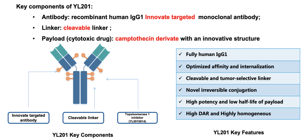 宜联生物新型B7H3 ADC药物YL201惊艳亮相2024ESMO， 用于多瘤种治疗，有效率再创新高！医药新闻-ByDrug-一站式医药资源 ...