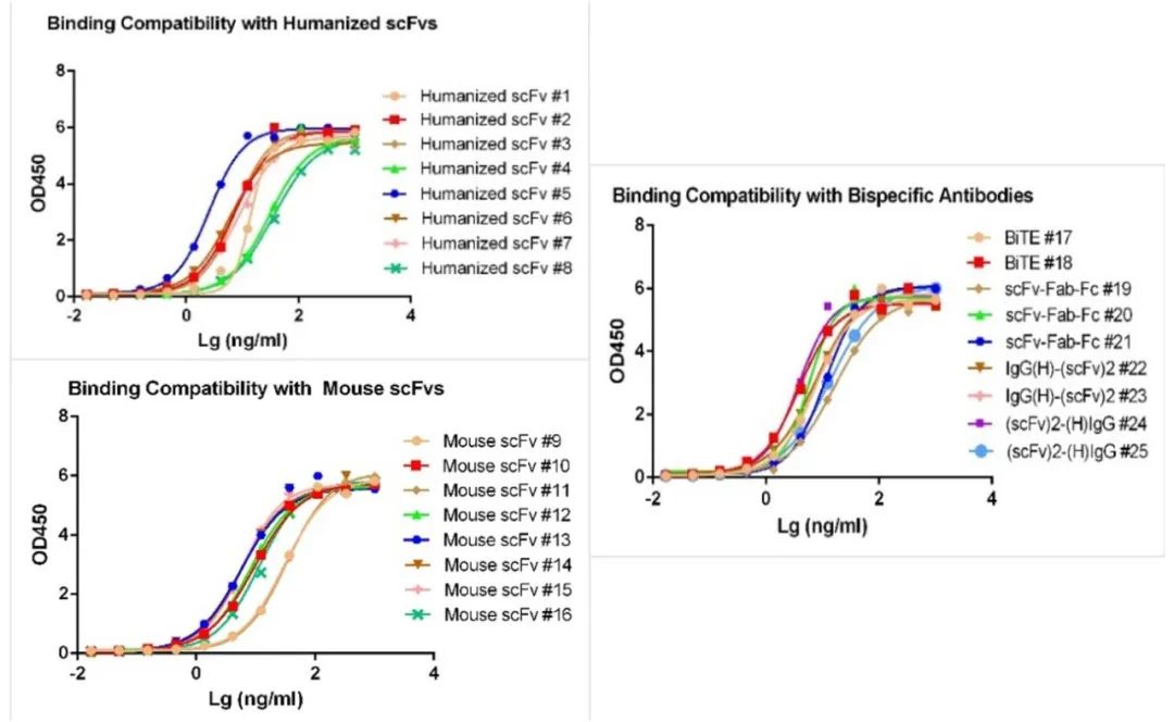 全球首发Anti-scFv抗体，助力细胞治疗及抗体药物的研发和诊疗！医药新闻-ByDrug-一站式医药资源共享中心-医药魔方