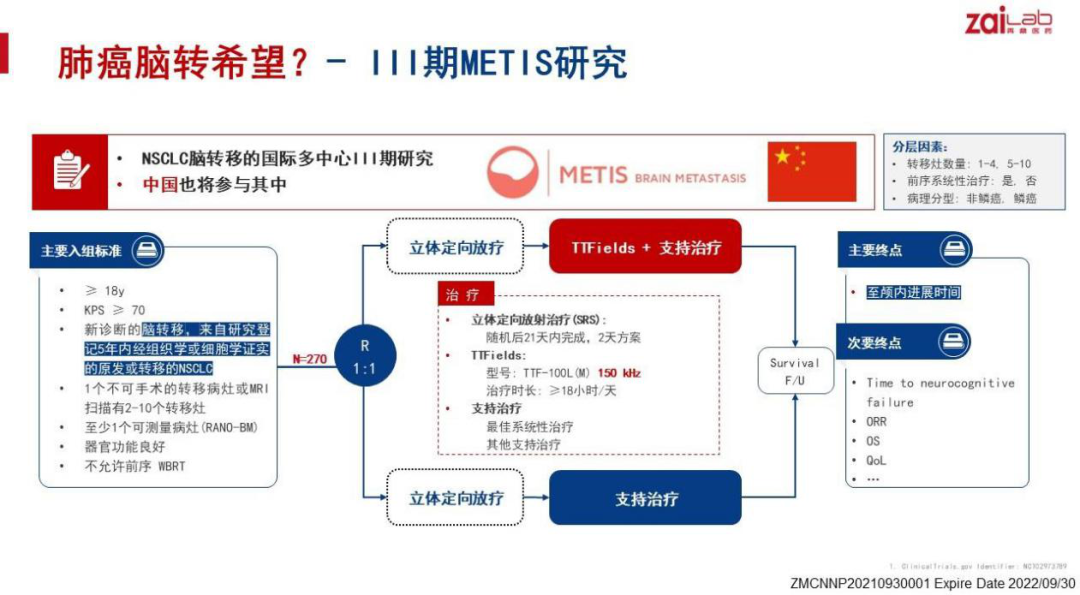 2022 WFNOS-肿瘤电场治疗(TTFields)突破血脑屏障(BBB) - 化疗药物递送新方式医药新闻-ByDrug-一站式医药资源共享中心-医药魔方