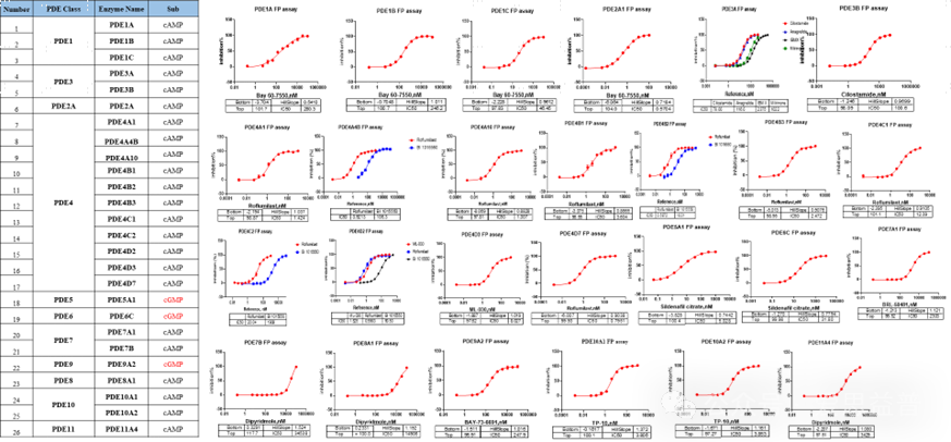 ICE靶标蛋白| PDE家族蛋白产品医药新闻-ByDrug-一站式医药资源共享中心-医药魔方