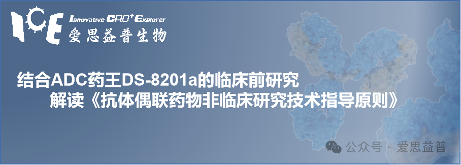 结合ADC药王DS-8201a的临床前研究，解读《抗体偶联药物非临床研究技术指导原则》医药新闻-ByDrug-一站式医药资源共享中心-医药魔方