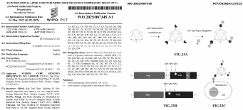 Molecular Therapy Oncology｜精准肿瘤组织靶向AAV载体在免疫治疗中的新尝试医药新闻-ByDrug-一站式医药资源共享中心-医药魔方