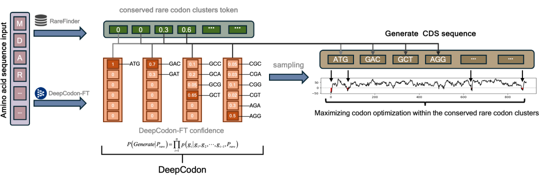 天津工业生物技术研究所开发基于深度学习的密码子优化模型DeepCodon医药新闻-ByDrug-一站式医药资源共享中心-医药魔方