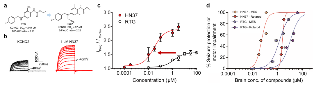 Nat Commun | 上海药物所合作揭示抗癫痫候选新药派恩加滨的分子作用机制医药新闻-ByDrug-一站式医药资源共享中心-医药魔方