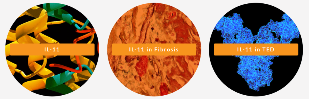 8500万美元B轮融资，开发IL-11R抗体医药新闻-ByDrug-一站式医药资源共享中心-医药魔方