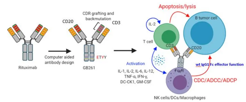 高达4.43亿美元！嘉和生物CD20/CD3双抗授权海外医药新闻-ByDrug-一站式医药资源共享中心-医药魔方