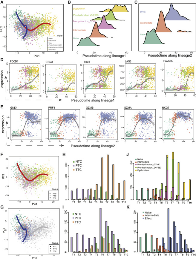 探索细胞轨迹的多元化前沿---Slingshot&tradeSeq医药新闻-ByDrug-一站式医药资源共享中心-医药魔方