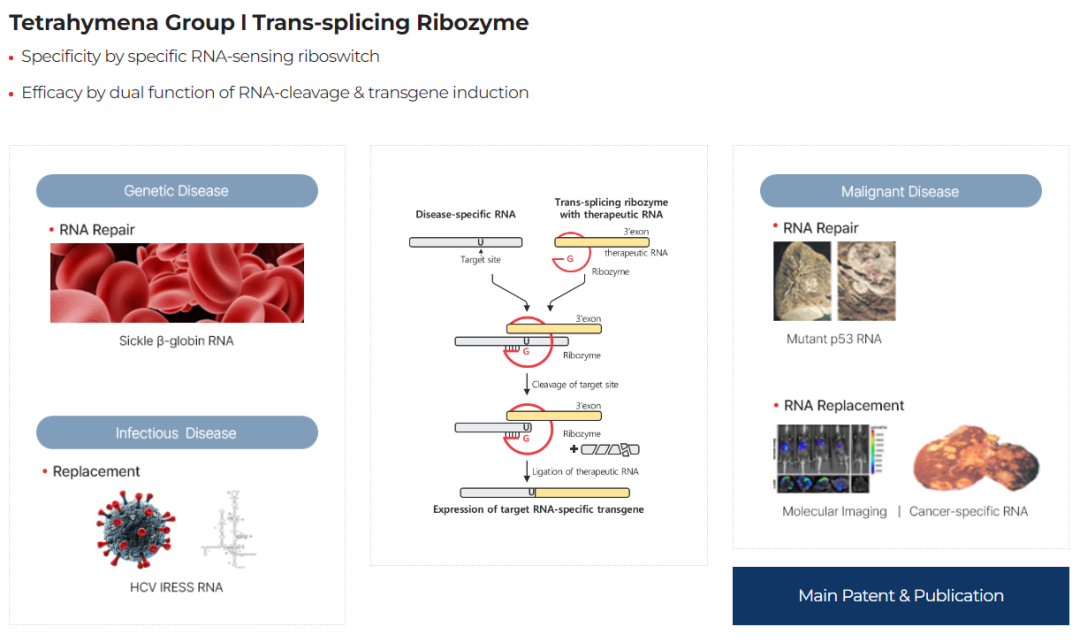 超13亿美元！礼来达成一项RNA编辑疗法全球研发和许可协议医药新闻-ByDrug-一站式医药资源共享中心-医药魔方