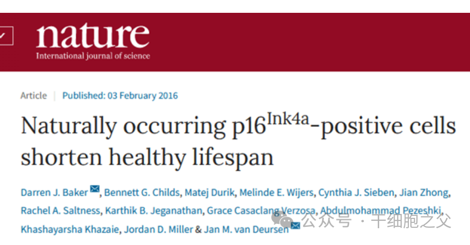 NK细胞可清除衰老细胞，延长寿命20%-30%医药新闻-ByDrug-一站式医药资源共享中心-医药魔方