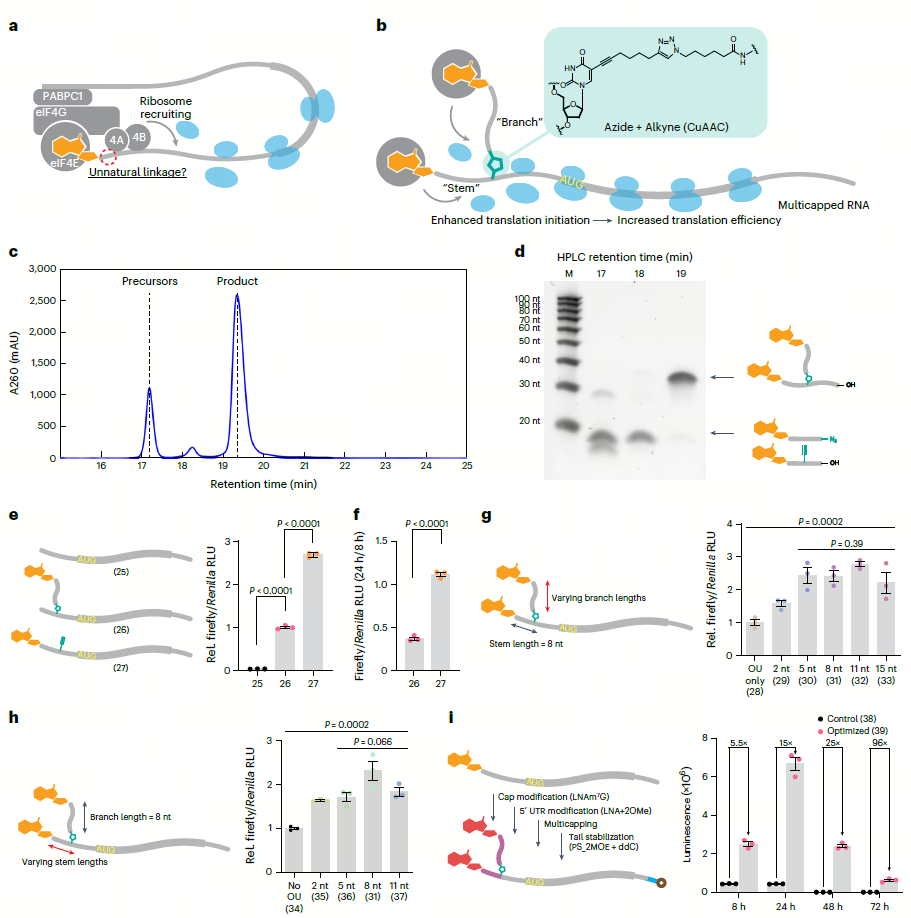 让mRNA疗法“更牛”，新技术LEGO来了医药新闻-ByDrug-一站式医药资源共享中心-医药魔方