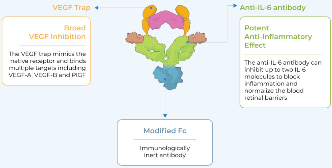 全球第二款眼科双抗启动III期临床医药新闻-ByDrug-一站式医药资源共享中心-医药魔方