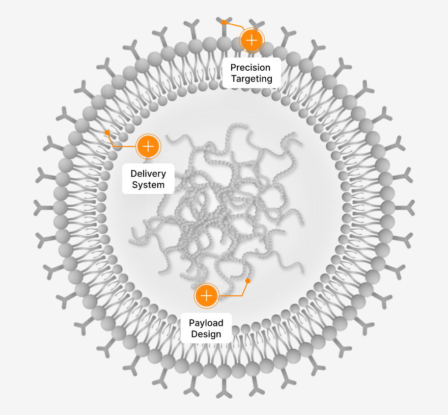 LNP递送mRNA在体内生成CAR-T，新锐公司再获1.75亿美元融资，推进自身免疫病CAR-T临床研究医药新闻-ByDrug-一站式医药资源 ...