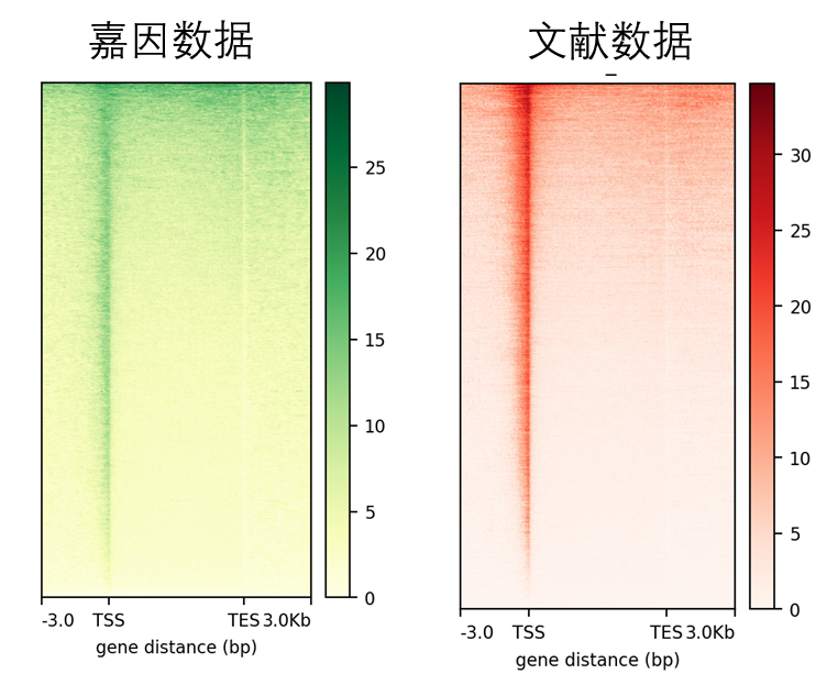 R-loop CUT&Tag系列文章之五：上海嘉因实操R-loop CUT&Tag数据大解密医药新闻-ByDrug-一站式医药资源共享中心-医药魔方