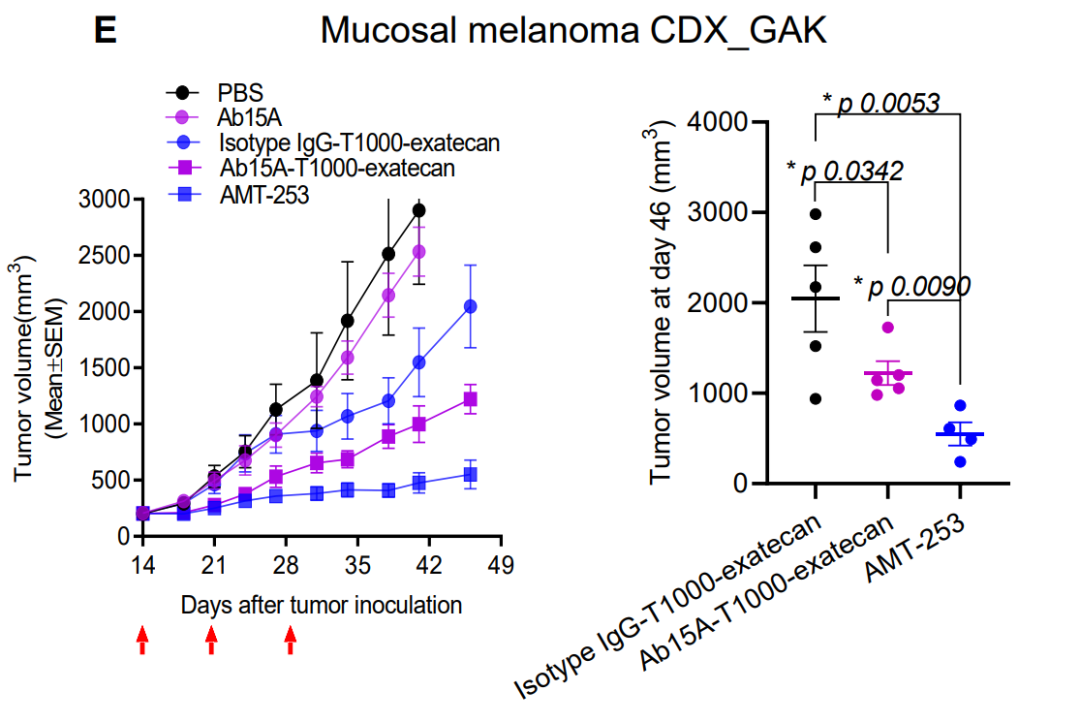普众发现MUC18靶向ADC获批IND医药新闻-ByDrug-一站式医药资源共享中心-医药魔方