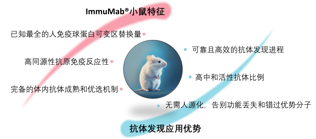 伊米诺康业务更新，全人源仅重链抗体鼠发布及合作管线进展医药新闻-ByDrug-一站式医药资源共享中心-医药魔方