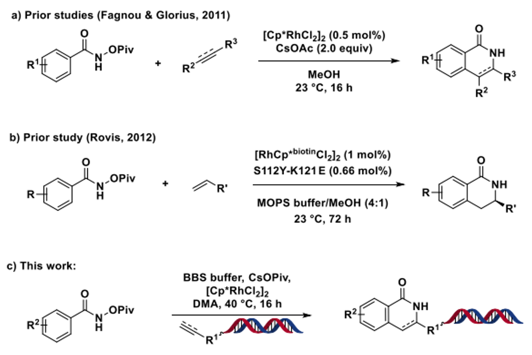 科技前沿 | 三价铑催化的碳-氢活化：成都先导与辉瑞合作开发出适用于DEL的异喹诺酮骨架合成方法医药新闻-ByDrug-一站式医药资源共享中心-医药魔方