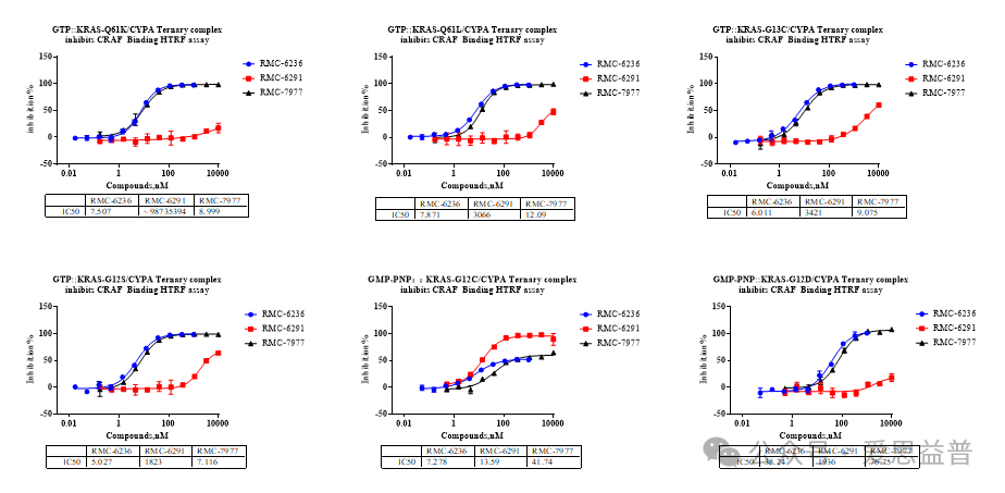 RAS(ON)多选择性抑制剂RMC-6236 胰腺癌I期结果积极医药新闻-ByDrug-一站式医药资源共享中心-医药魔方