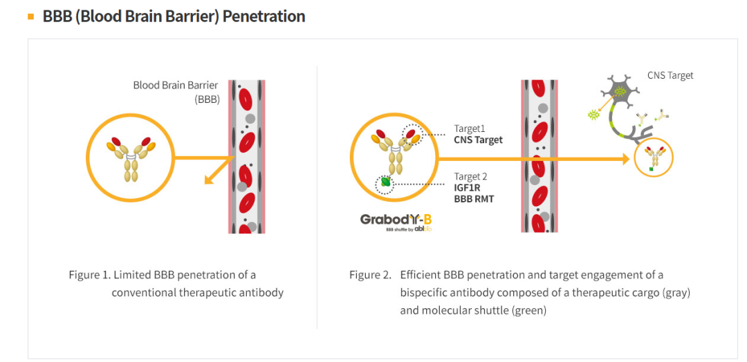 20.75亿英镑！ GSK 引进 Grabody-B 脑递送平台，共同开发神经退行性疾病新药医药新闻-ByDrug-一站式医药资源共享中心-医药魔方