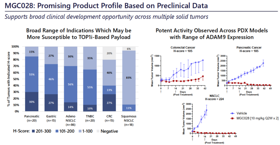JPM上的ADC布局医药新闻-ByDrug-一站式医药资源共享中心-医药魔方