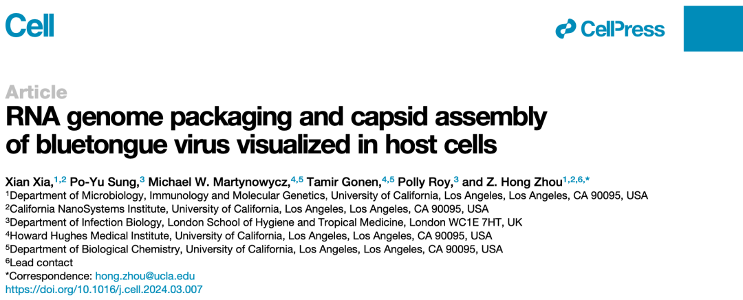 Cell | 双链RNA病毒BTV在宿主细胞内复制组装的机理，BTV病毒组装的“二重性”模型医药新闻-ByDrug-一站式医药资源共享中心-医药魔方