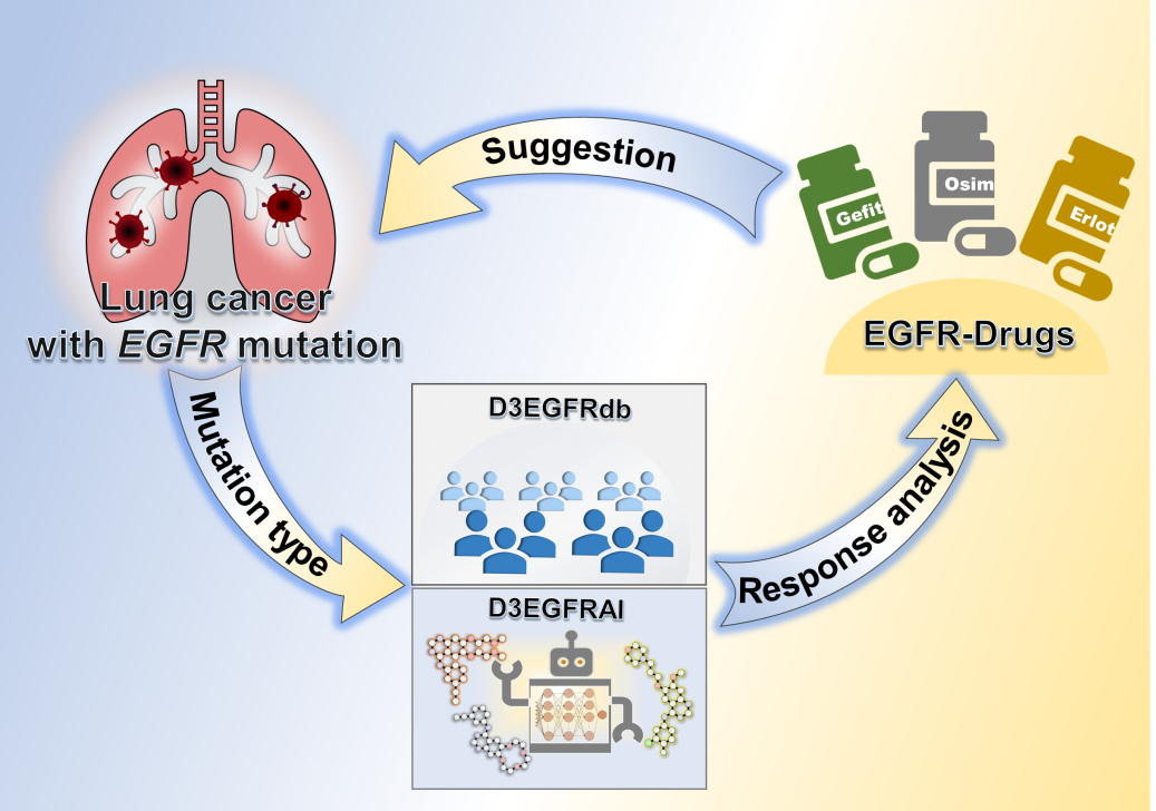 Brief Bioinform | 上海药物所合作构建靶向EGFR突变肺癌的用药推荐平台D3EGFR医药新闻-ByDrug-一站式医药资源共享中心-医药魔方