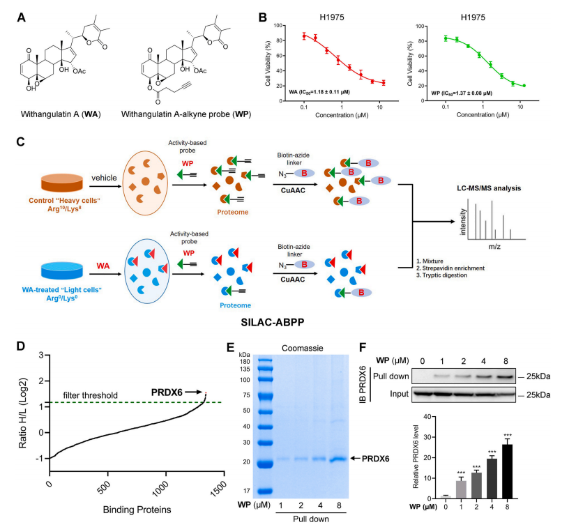 化学蛋白质组学技术（ABPP）在肺癌研究中的应用医药新闻-ByDrug-一站式医药资源共享中心-医药魔方
