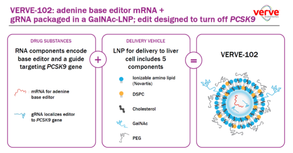行业资讯丨全球首个碱基编辑药物公布人体实验数据，反观国内碱基编辑格局医药新闻-ByDrug-一站式医药资源共享中心-医药魔方