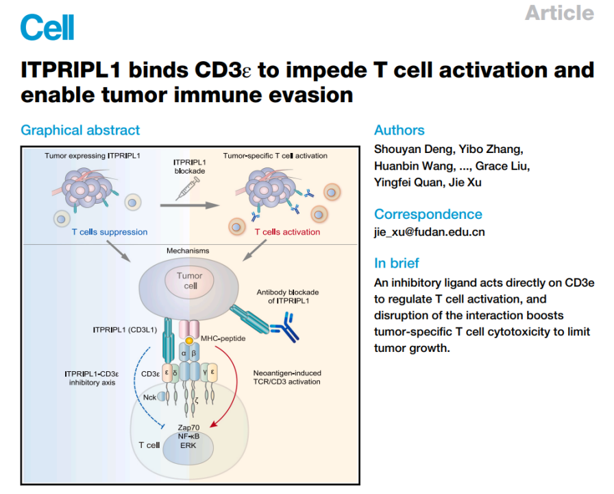 Cell重磅：SHC孵化企业柏全生物的CD3L1全新免疫检查点抗体问世医药新闻-ByDrug-一站式医药资源共享中心-医药魔方