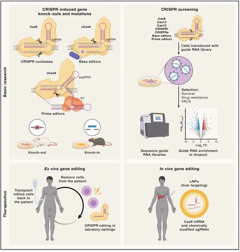 Cell 最新综述！CRISPR的前世今生医药新闻-ByDrug-一站式医药资源共享中心-医药魔方