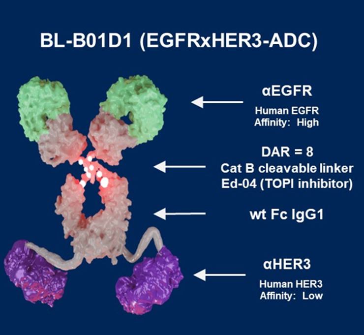百利天恒 | HER3/EGFR双抗ADC拟纳入突破性疗法医药新闻-ByDrug-一站式医药资源共享中心-医药魔方
