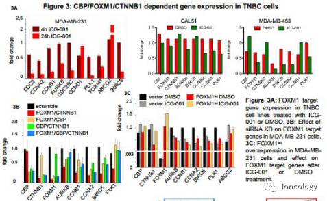 [SABCS巅峰访谈]Alexander Ring 解读CBP / FOXM1 在三阴性乳腺癌中的作用医药新闻-ByDrug-一站式医药资源共享中心-医药魔方