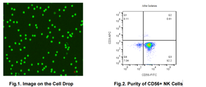 IPHASE/汇智和源 抗体依赖细胞介导的细胞毒作用（ADCC效应）医药新闻-ByDrug-一站式医药资源共享中心-医药魔方