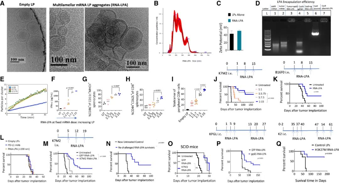 Cell突破：挑战致命脑癌，新型mRNA疫苗来了医药新闻-ByDrug-一站式医药资源共享中心-医药魔方