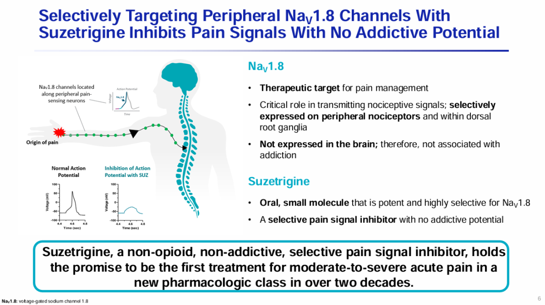 20年多来首款！重磅急性镇痛新药获批上市医药新闻-ByDrug-一站式医药资源共享中心-医药魔方