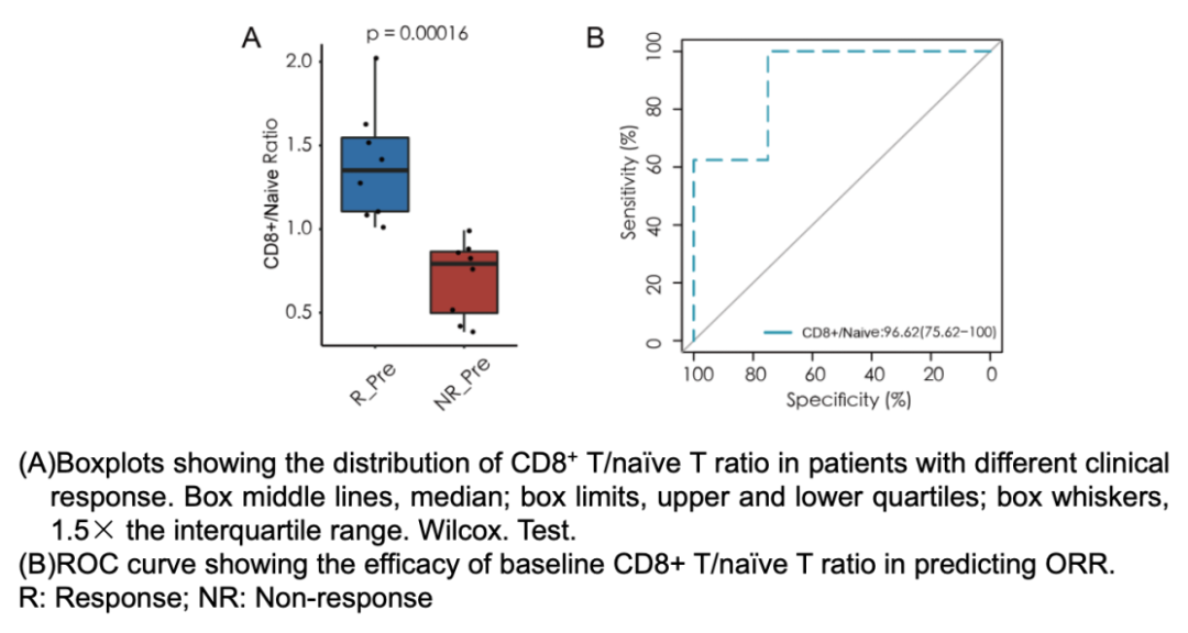 SABCS中国之声丨刘洁琼教授团队：KN046＋KN026两种双抗联合治疗晚期HER2阳性乳腺癌的单细胞测序分析结果医药新闻-ByDrug-一 ...