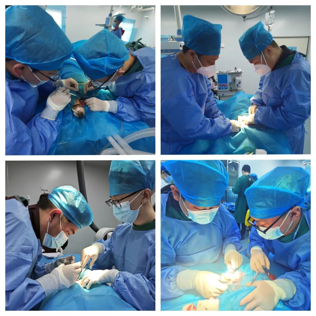 企业动态 | 通和立泰助力大清西格自主研发的医疗器械产品获批上市医药新闻-ByDrug-一站式医药资源共享中心-医药魔方