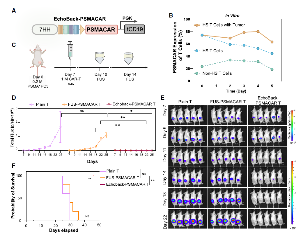 Cell突破：攻克实体瘤，CAR-T新技术来了医药新闻-ByDrug-一站式医药资源共享中心-医药魔方