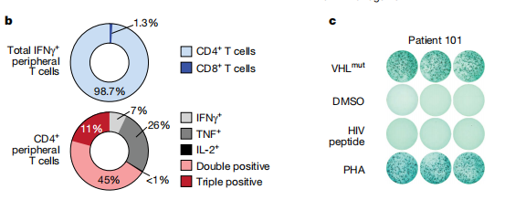 《Nature》重磅临床结果 | 个体化肿瘤多肽疫苗可长期抑制肾癌复发医药新闻-ByDrug-一站式医药资源共享中心-医药魔方