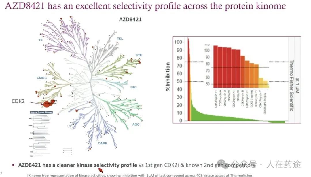 AACR24 | CDK2抑制剂AZD8421结构首次公开医药新闻-ByDrug-一站式医药资源共享中心-医药魔方