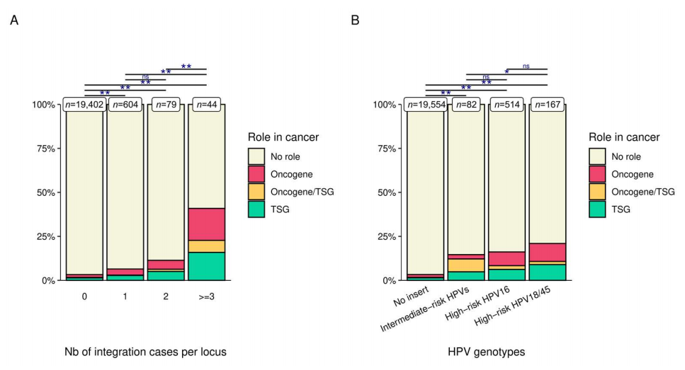 文献解读 | HPV相关肿瘤中HPV DNA整合多位于潜在治疗靶基因位点医药新闻-ByDrug-一站式医药资源共享中心-医药魔方