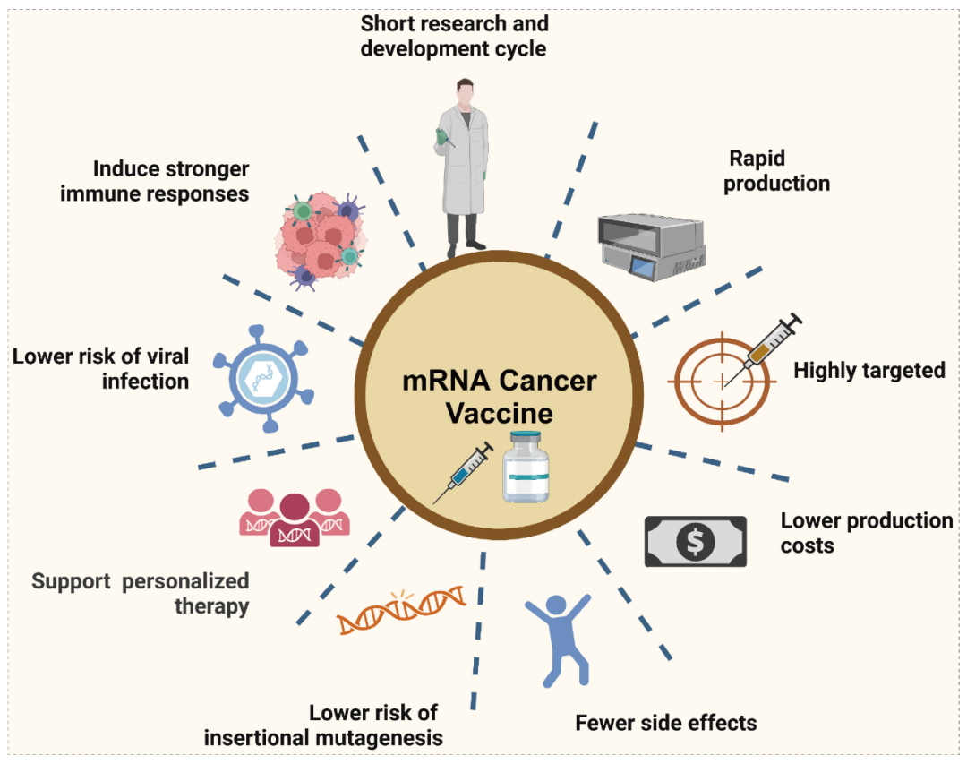 mRNA疫苗可加上“细胞GPS”黑科技？美迪西mRNA肿瘤平台助力抢占抗癌新赛道医药新闻-ByDrug-一站式医药资源共享中心-医药魔方