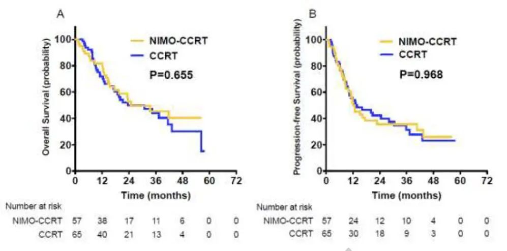 局晚期NSCLC：同步放化疗可否联合尼妥珠单抗？医药新闻-ByDrug-一站式医药资源共享中心-医药魔方