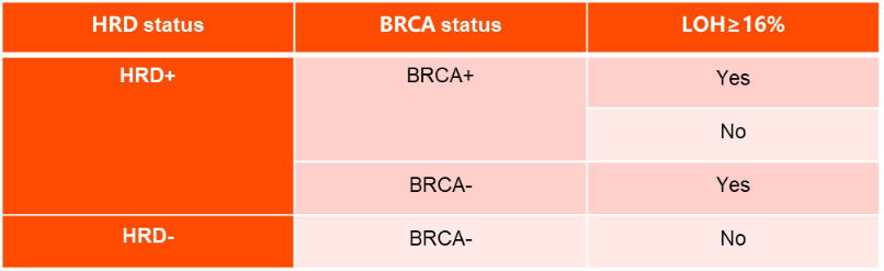 国内首个商用HRD状态检测产品-FoundationOne CDx助力卵巢癌精准治疗步入HRD时代医药新闻-ByDrug-一站式医药资源共享 ...