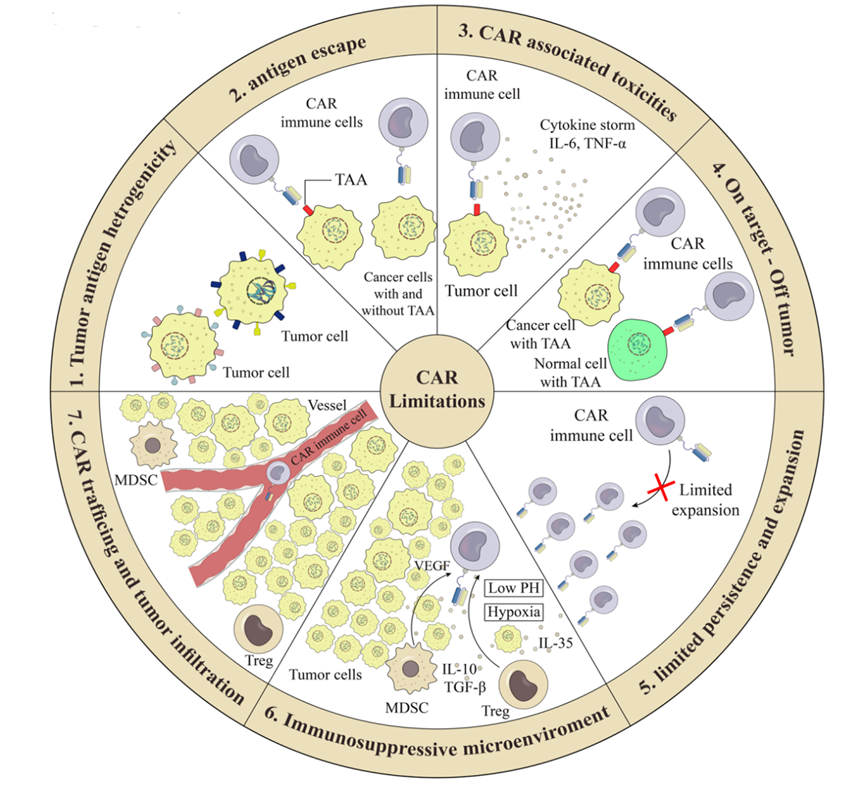 深度梳理CAR疗法 | 从CAR-T、CAR-NK到CAR-M，都有哪些应用难点与解决策略？医药新闻-ByDrug-一站式医药资源共享中心-医药魔方
