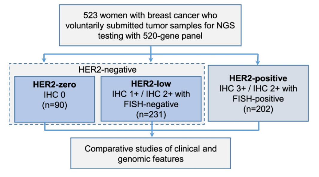 CBCS小红书社区丨刘蜀教授：「HER2低表达乳腺癌」是一个概念，还是一种新的分型？医药新闻-ByDrug-一站式医药资源共享中心-医药魔方