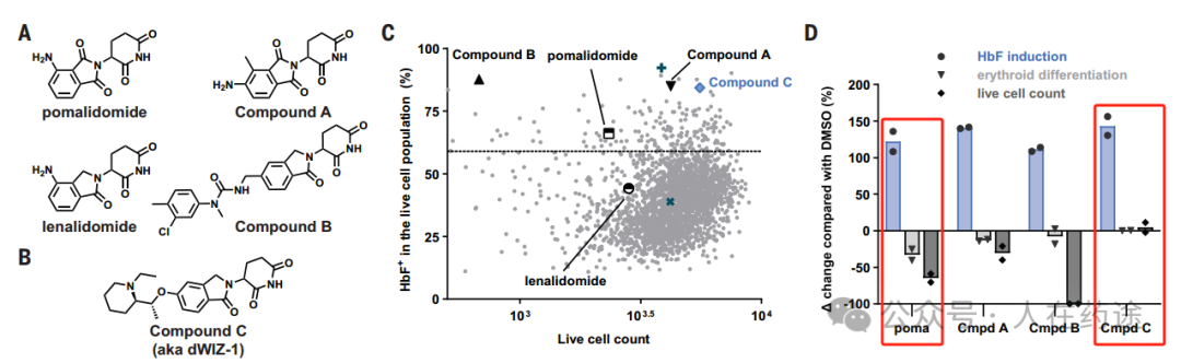 Science重磅！诺华、BMS皆看好的WIZ分子胶医药新闻-ByDrug-一站式医药资源共享中心-医药魔方