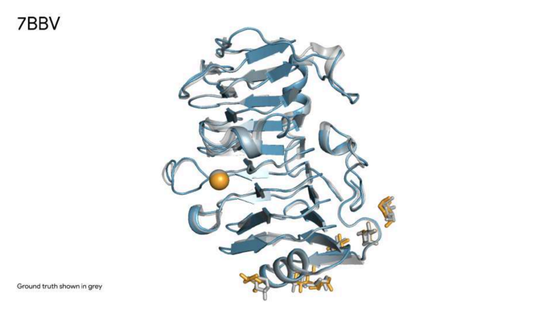 2024年诺贝尔奖：AlphaFold3，引领药物研发新革命医药新闻-ByDrug-一站式医药资源共享中心-医药魔方