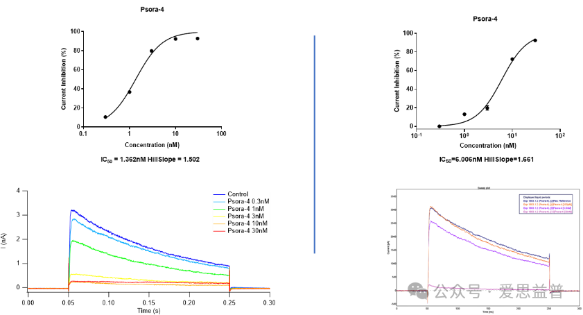 《离子通道研究》——Kv1.3通道与自身免疫性疾病医药新闻-ByDrug-一站式医药资源共享中心-医药魔方
