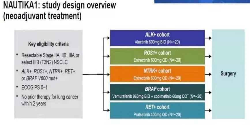 宋勇教授：ALK阳性非小细胞肺癌治疗面临的5个挑战医药新闻-ByDrug-一站式医药资源共享中心-医药魔方